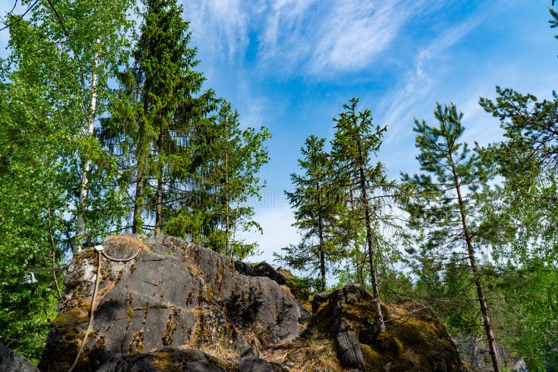 Marble Cliff and Pine Trees Under Blue Sky in Karelia Stock Image ...
