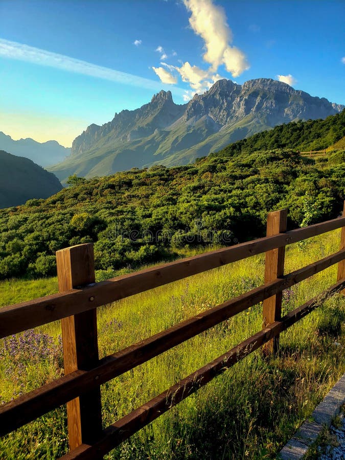 Impressive Mountain Range and Fence with Long Grass Bush Stock Photo ...