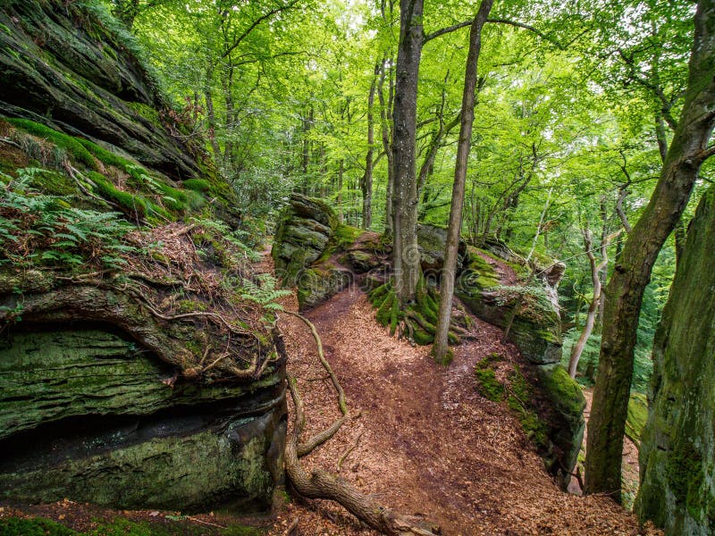 Impressive Rock Formations in Berdorf Forest Stock Photo - Image of ...
