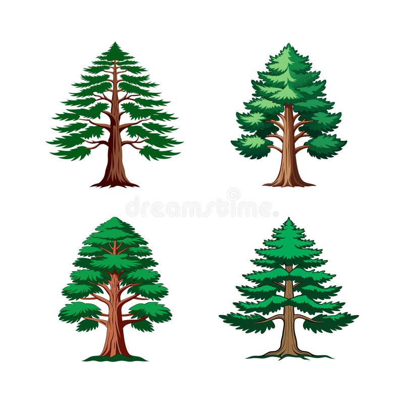 Deodar Tree Stock Illustrations – 58 Deodar Tree Stock Illustrations ...