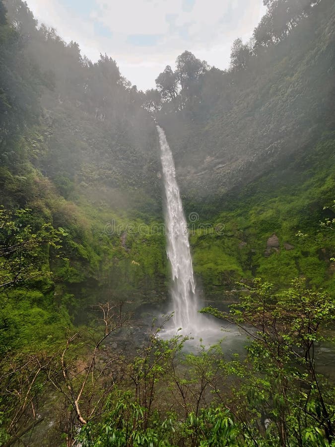 Impressive Waterfalls in the Forest Stock Photo - Image of horizontal ...