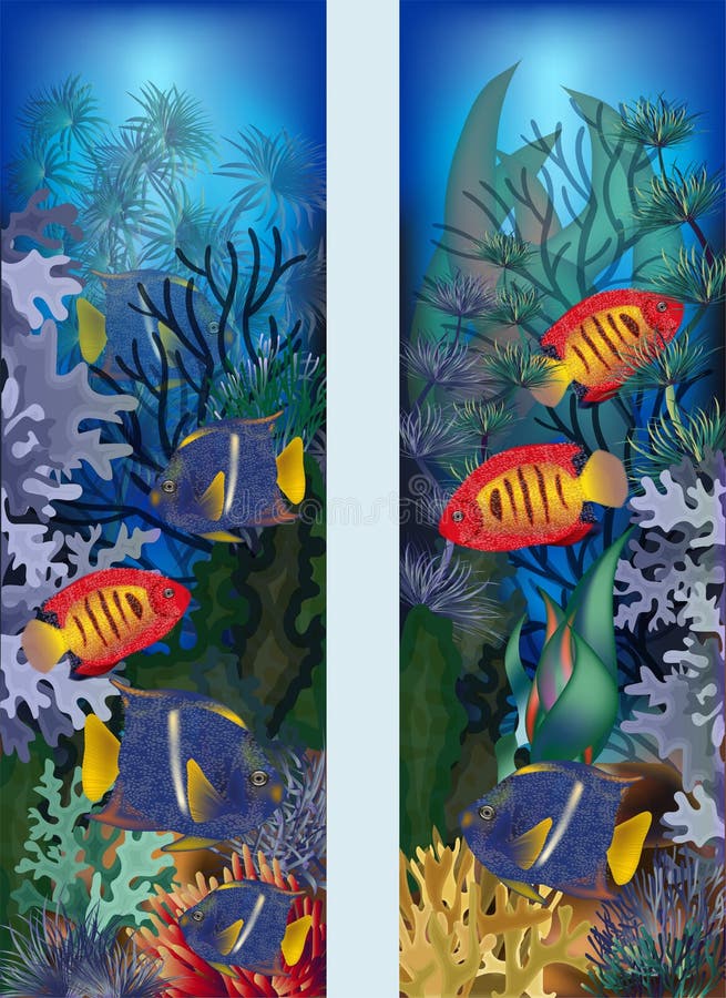Underwater Vertical Banners with Algae and Tropical Fish, Vector Stock ...