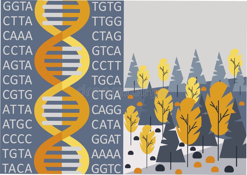 Gene or environment stock vector. Illustration of nature - 175617827