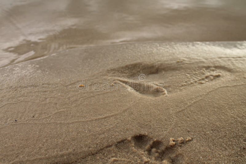Imprint in the sand stock image. Image of summer, sand - 32229549