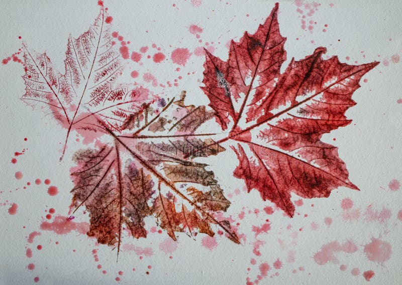 Imprints of Leaves on a Paper Stock Photo - Image of environment ...