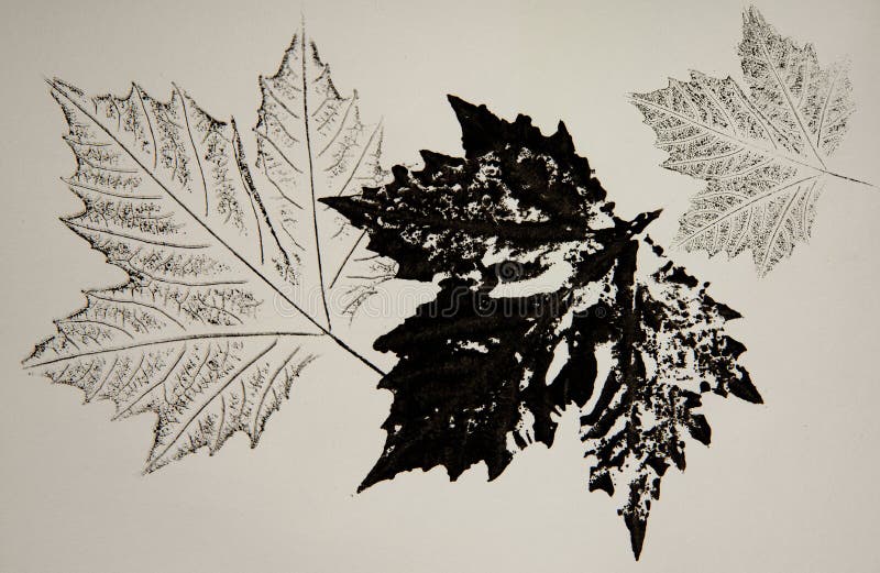 Imprints of Leaves on a Paper Stock Image - Image of detail, decoration ...