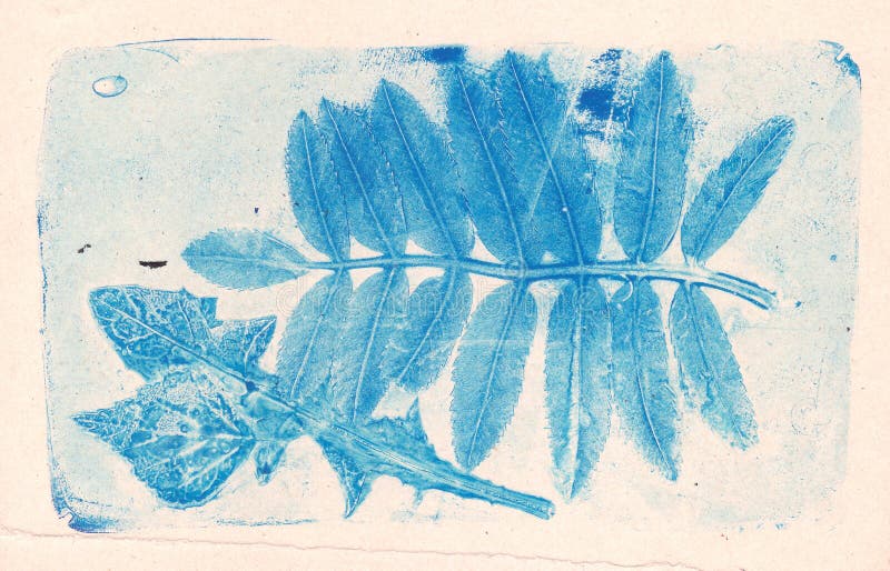 Imprints of Real Leaves on Paper, Creative Abstract Grunge Background ...