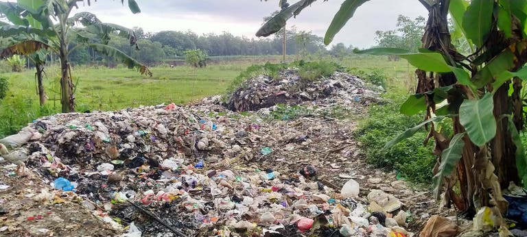 Improper Waste Disposal Can Damage the Environment. Stock Image - Image ...