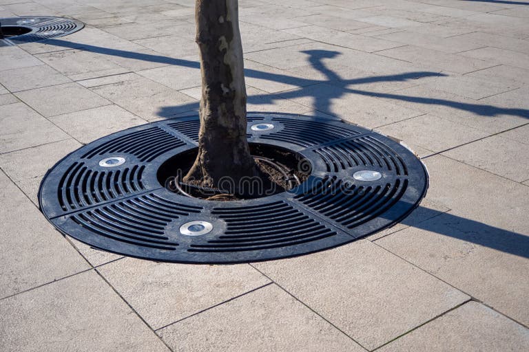 Improvement of Urban Environment, Modern Urban Environment, Pedestrian ...