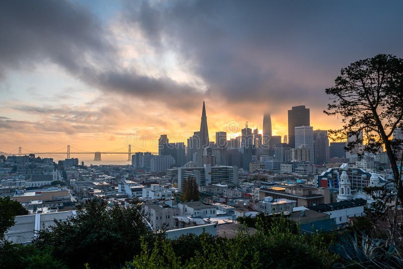 Ina Coolbrith Park at Sunrise Stock Image - Image of pacific, outdoors ...