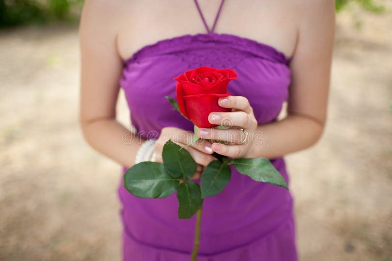 Ina de Rose las manos imagen de archivo. Imagen de dedos - 21593223