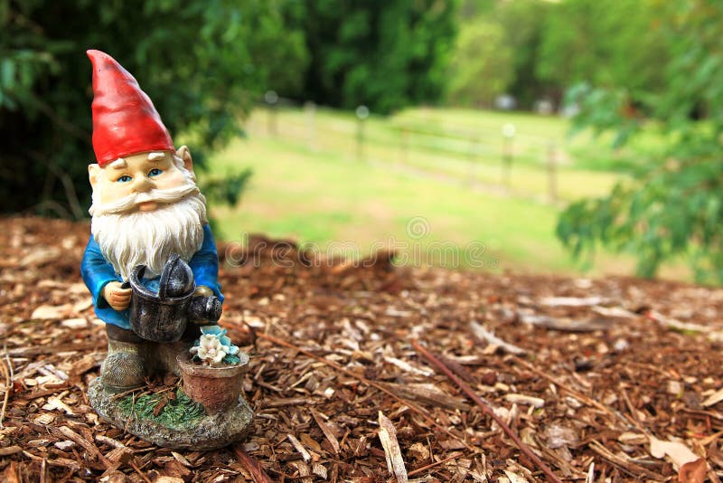 Inauspicious Infantry stock image. Image of garden, leaves - 13546823