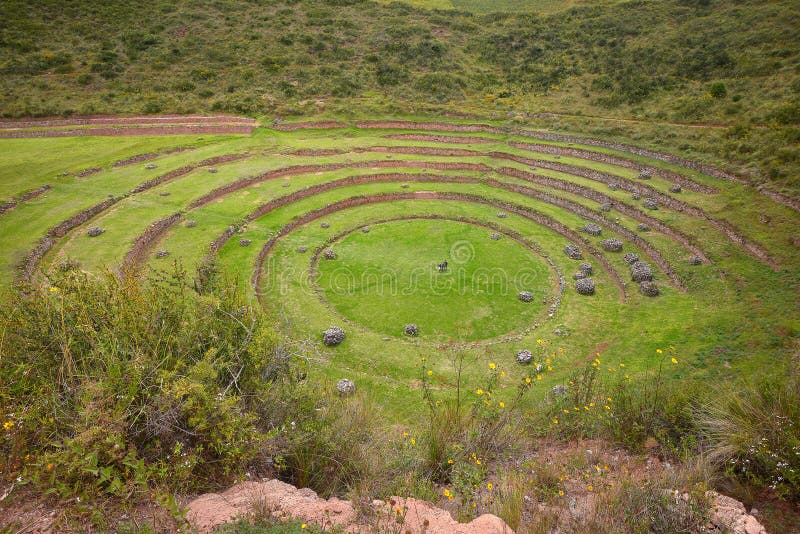 Inca agriculture field stock photo. Image of valley, architecture ...