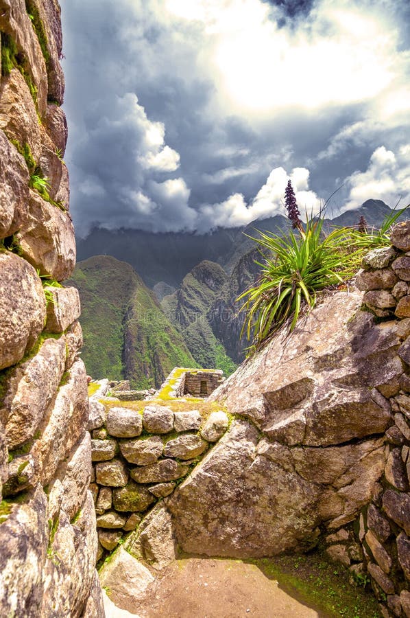 Inca City Machu Picchu (Peru) Stock Photo - Image of historic, heritage ...