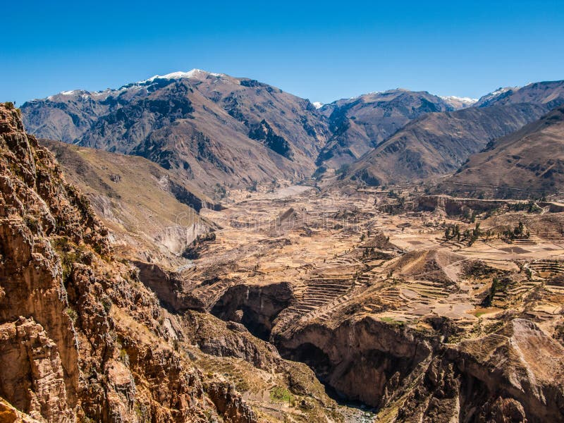 Incan Terraced Fields in Colca Valley Stock Photo - Image of incan ...
