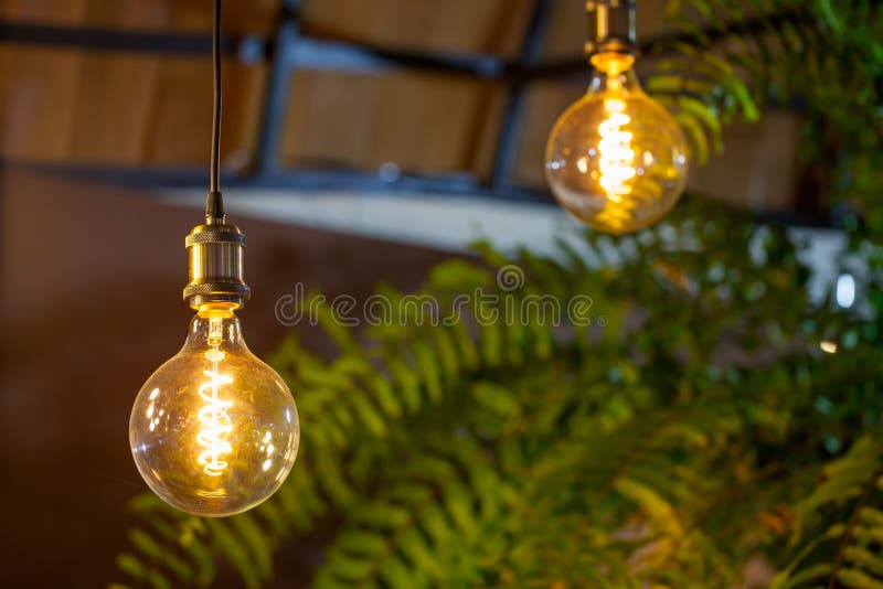 Incandescent Lamps with Tree in Background. Edison Lamp Stock Photo ...