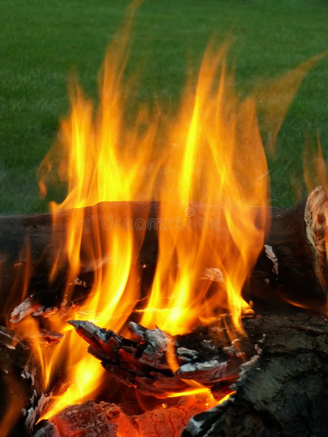 Incendie de flambage image stock. Image du flammes, réception - 257345