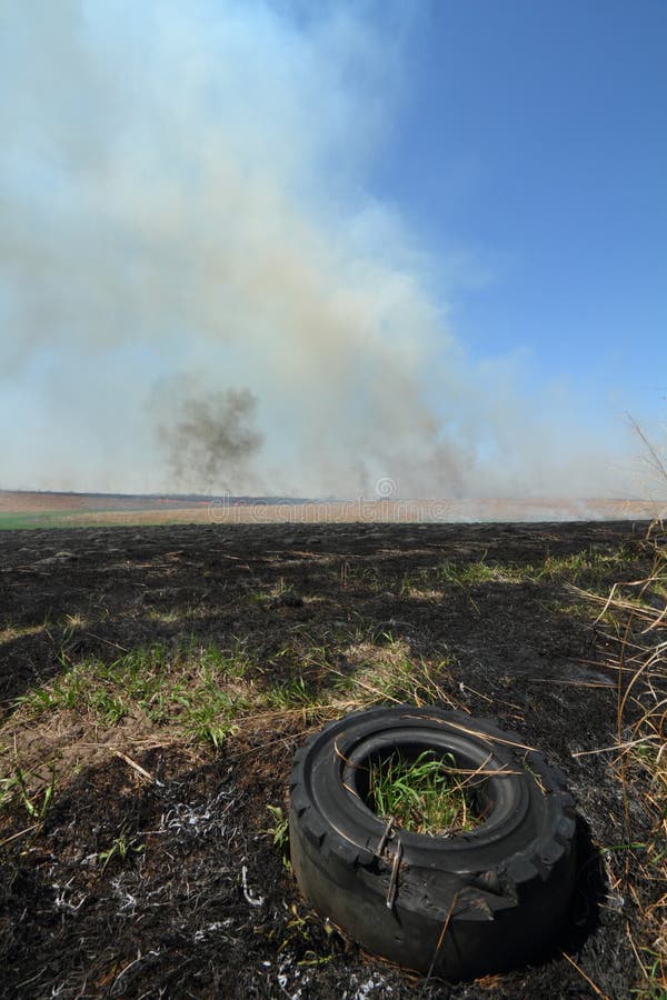 Incendie de prairie photo stock. Image du zone, destruction - 20632416