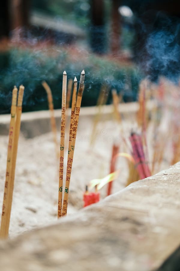 Incense in the temple stock image. Image of tree, leaf - 237360401
