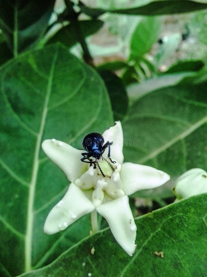 Chinese Incest Teen Stock Photos - Free & Royalty-Free Stock Photos ...