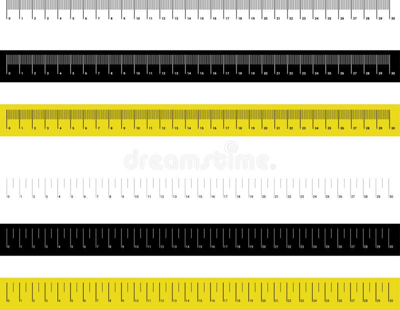 Inch and Centimeter Ruler Vector Illustration on a White Background ...
