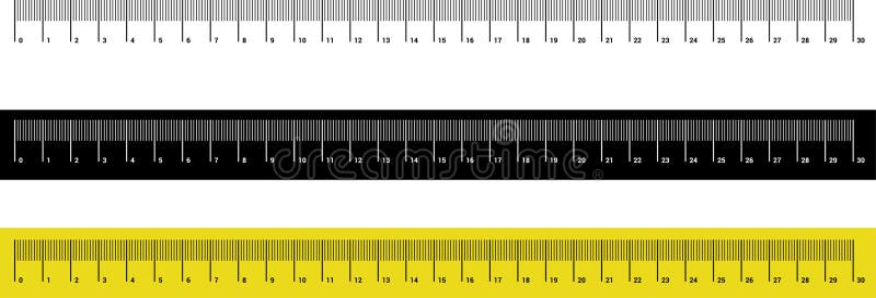 Inch and Centimeter Ruler Vector Illustration on a White Background ...