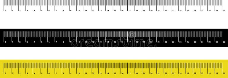 Inch and Centimeter Ruler Vector Illustration on a White Background ...