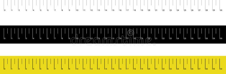 Inch and Centimeter Ruler Vector Illustration on a White Background ...