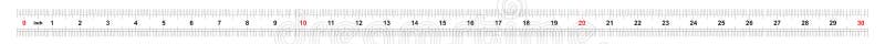 30 Inch Ruler Stock Illustrations – 120 30 Inch Ruler Stock ...