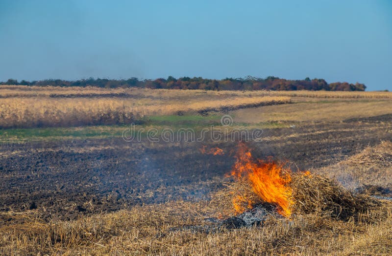 Incineration of Agricultural Waste - Smog and Pollution. Harmful ... Incineration of Agricultural Waste - Smog and Pollution. Harmful ...