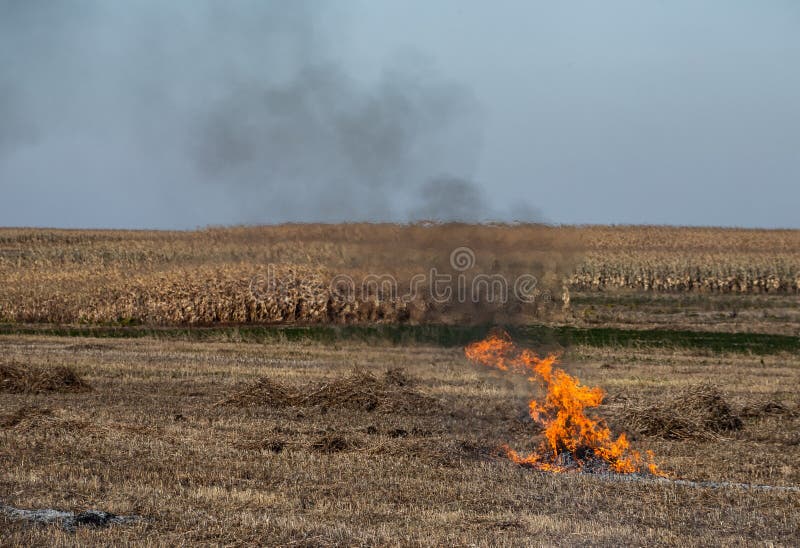 Incineration of Agricultural Waste - Smog and Pollution. Harmful ... Incineration of Agricultural Waste - Smog and Pollution. Harmful ...