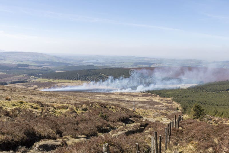 Incipient Smoke Stock Photos - Free & Royalty-Free Stock Photos from ...