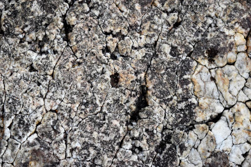 Includes Various Forms of Granite Stone Stock Photo - Image of pebble ...