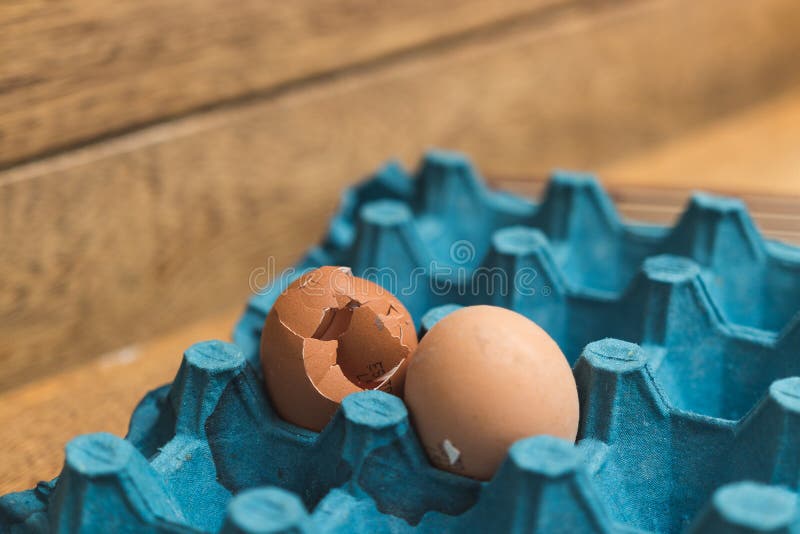 Incomplete Honeycomb and a Broken Egg Stock Image - Image of open ...