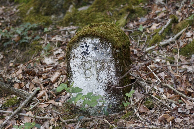 An Incomprehensible Ancient Stone Covered with Moss with Letters in the ...