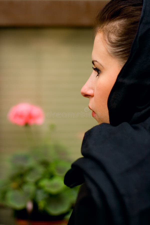 Black widow stock image. Image of alone, beautiful, expression - 2633611