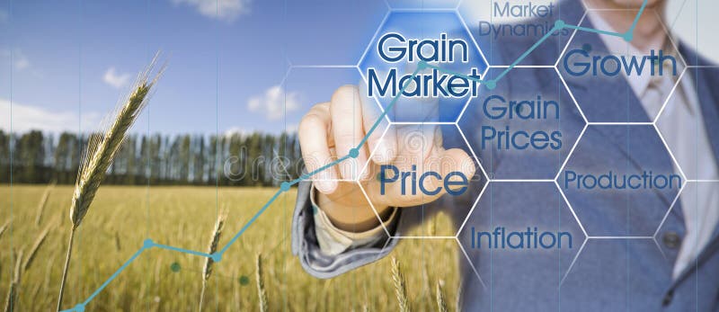 Increase in the Cost of Wheat - Concept with Business Manager and ...