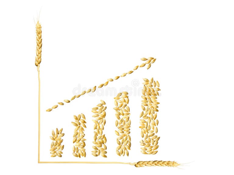 Corn Plant Diagram Stock Illustrations – 665 Corn Plant Diagram Stock ...