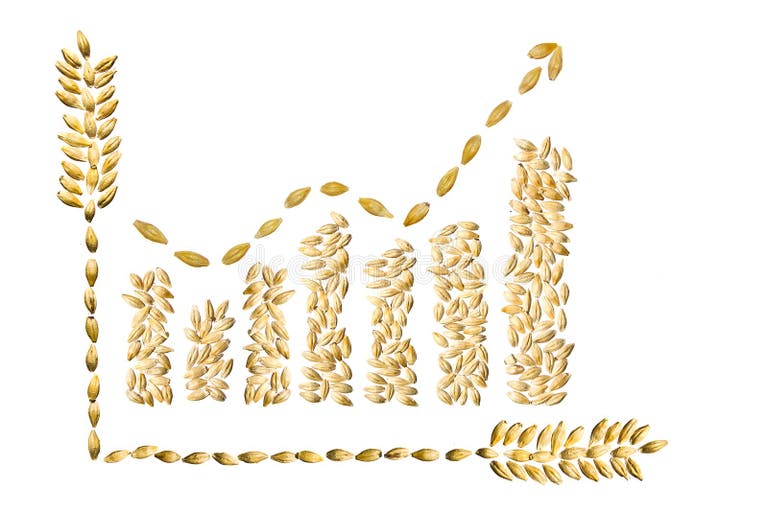 Increase a crop of wheat stock illustration. Illustration of white ...
