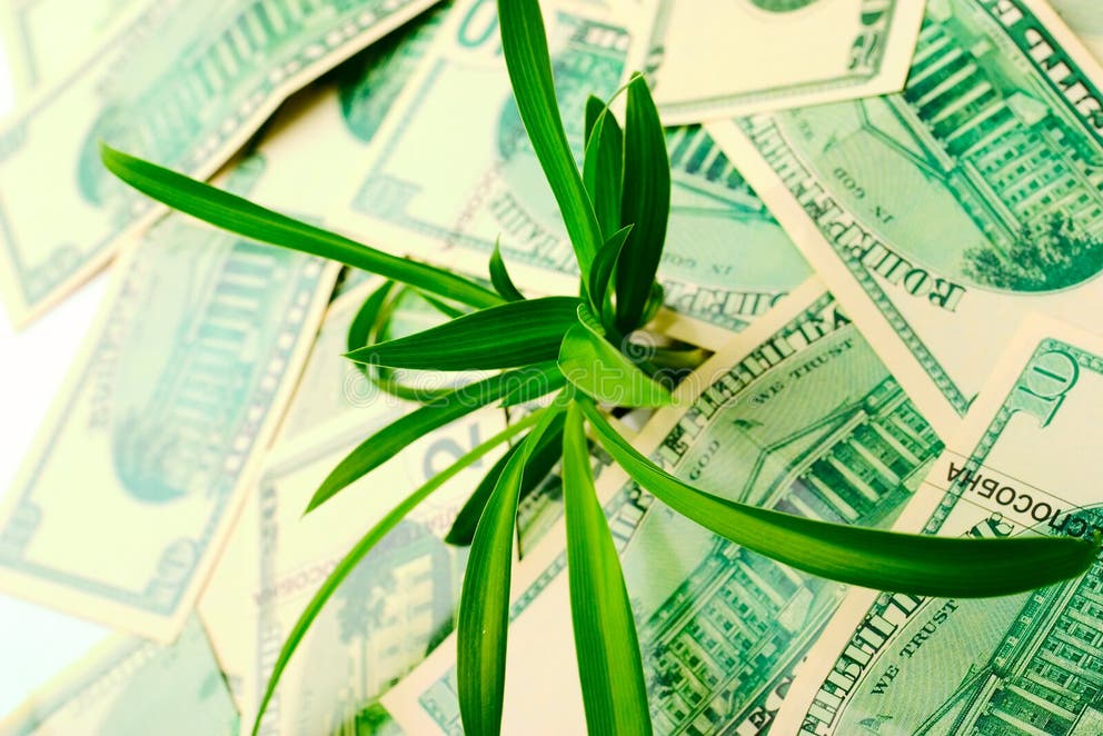 The Increase in Dollar Quotes Stock Image - Image of ideas, isolated ...