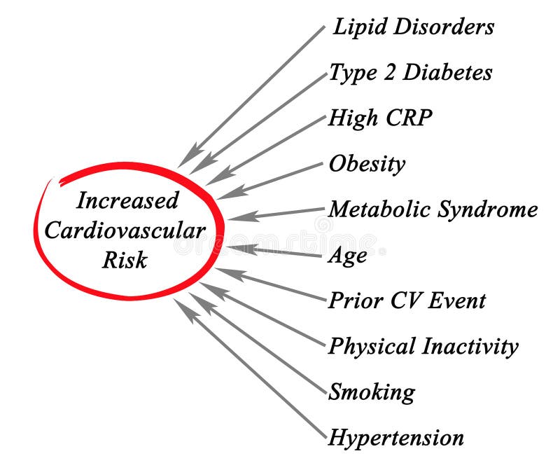 Cardiovascular Stock Illustrations – 27,903 Cardiovascular Stock ...