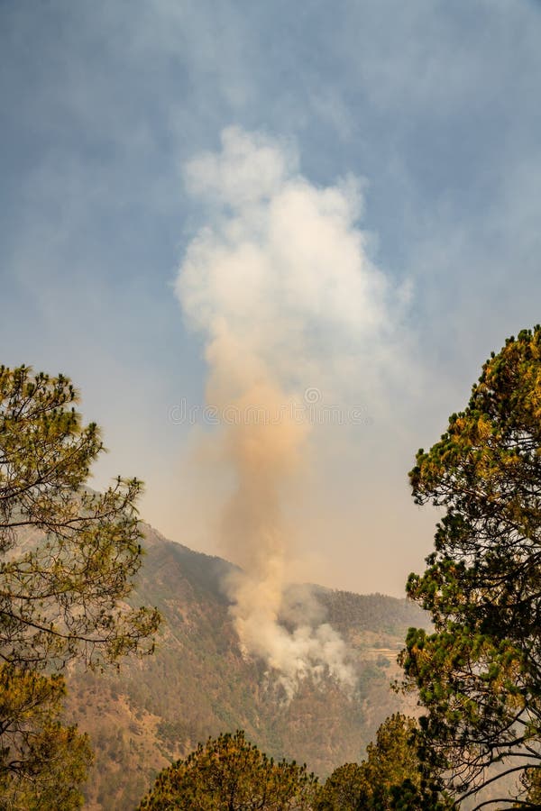 Increasing Forest Fires Around the World Stock Photo - Image of ...
