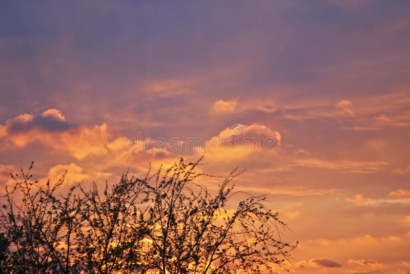 Incredible Beautiful Cloud Formations, Sunset Colors Behind Trees Stock ...