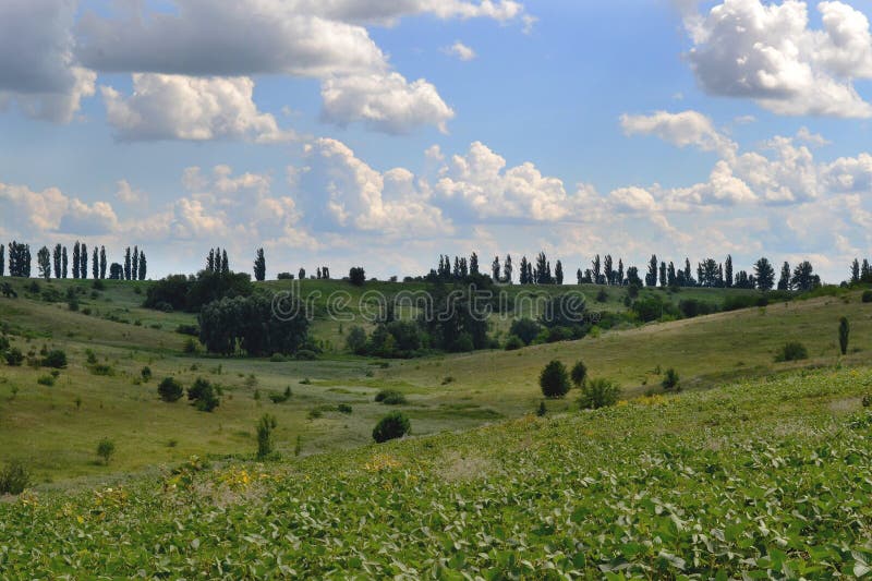 The Incredible Beauty of the Field is Open Stock Photo - Image of ...