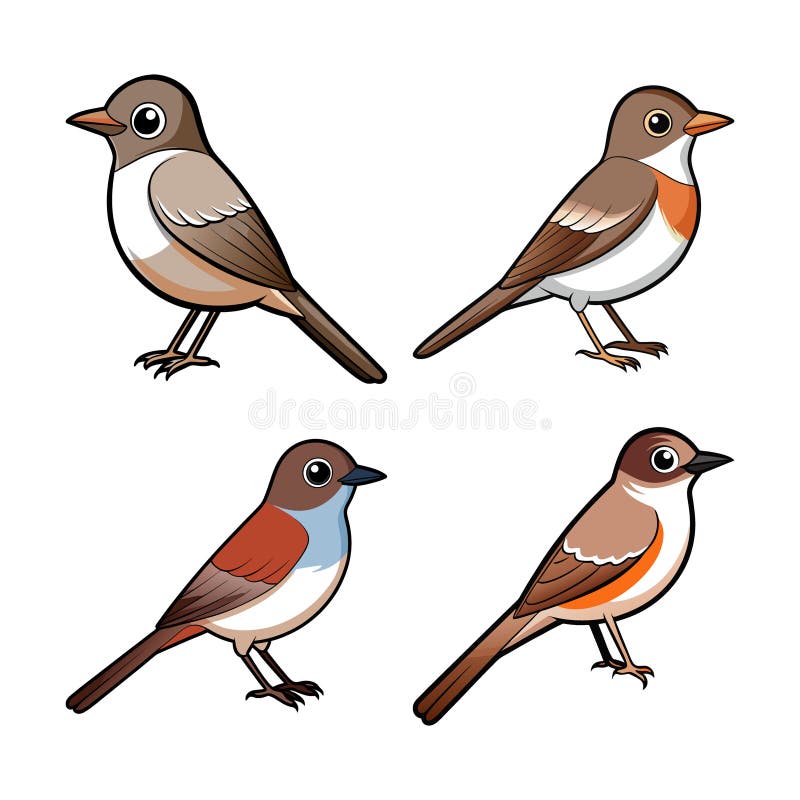 Incredible Eastern Phoebe Bird Colorful Artwork Stock Vector ...