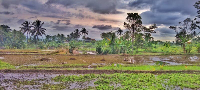 Incredible Farmer Work Working Experience Stock Photo - Image of ...