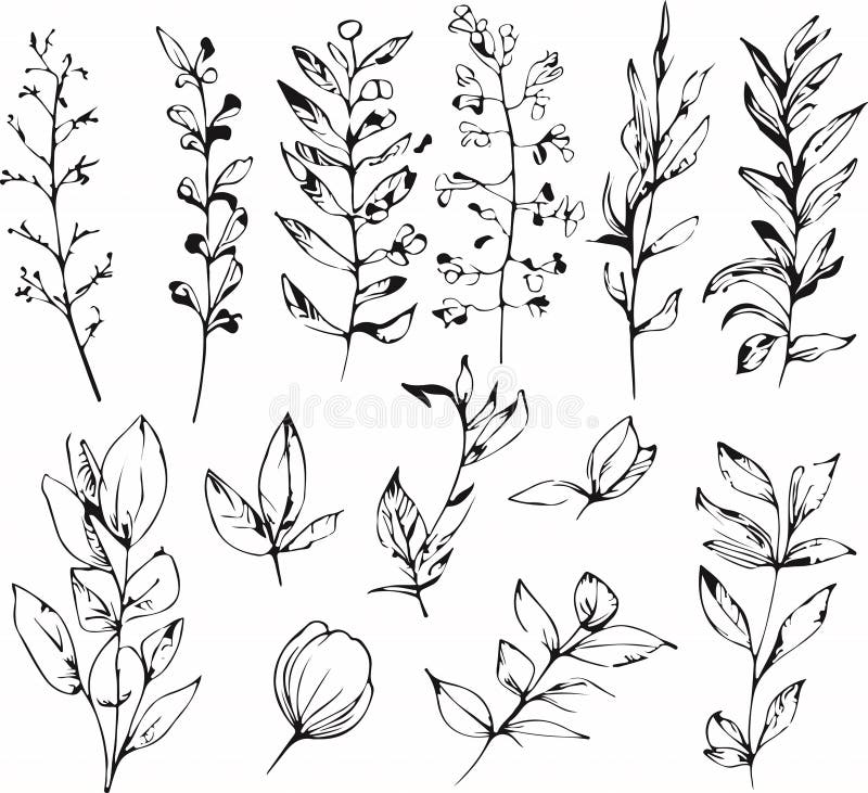 Incredible Hand Drawn Line Forest Flora Vector Stock Vector ...