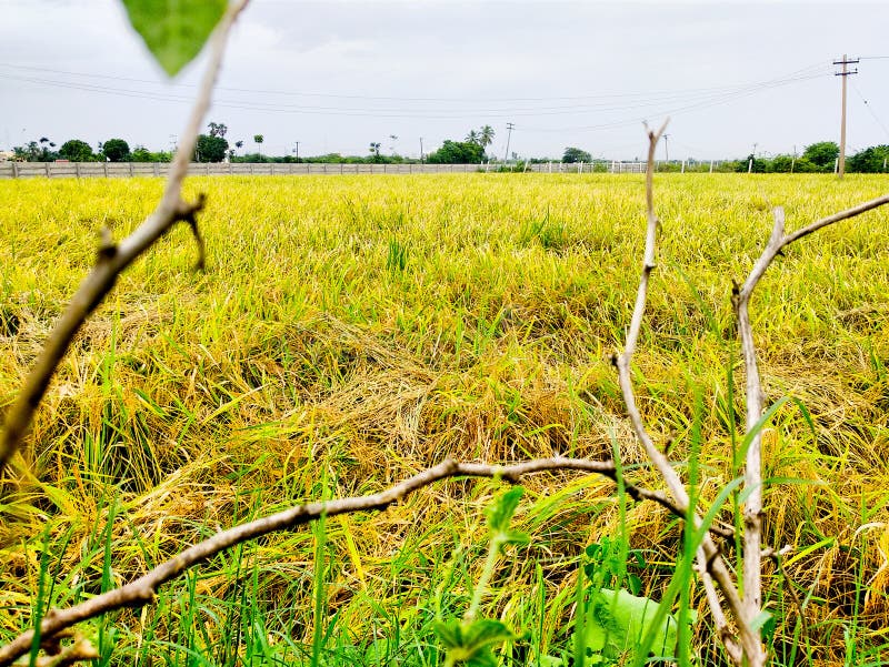 Incredible India Goa - Collage Nine Photos Stock Photo - Image of happy ...