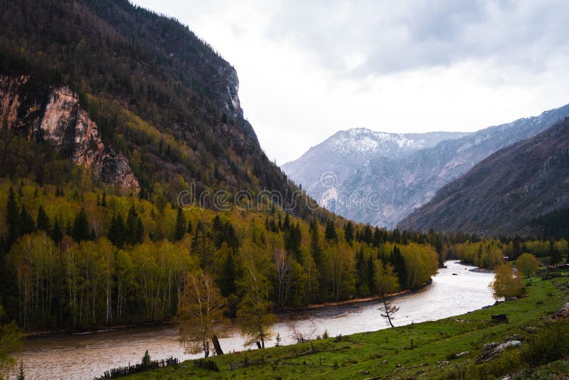 Incredible Landscape Valley of the Altai Mountains with Trees, Hills ...