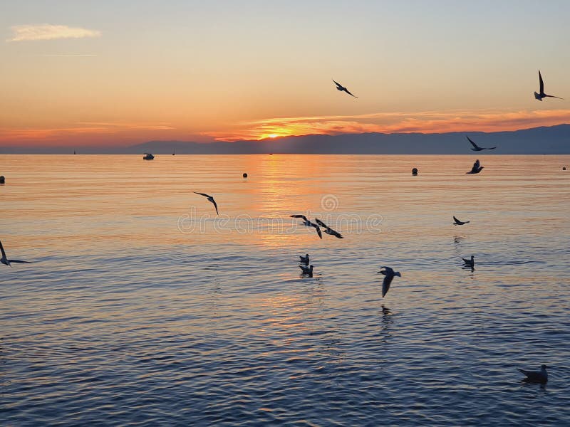 Incredible Sunset in Switzerland Stock Photo - Image of shore, dawn ...